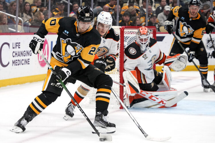 Ducks score in the final seconds, beat Pens | News, Sports, Jobs - The ...